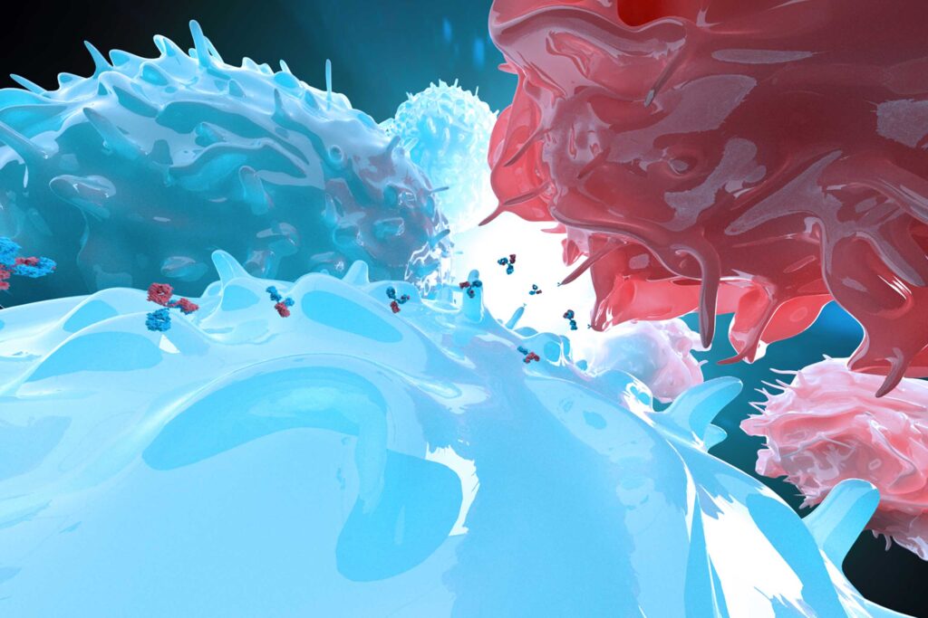 Preclinical Immuno-Oncology - Enplas Global