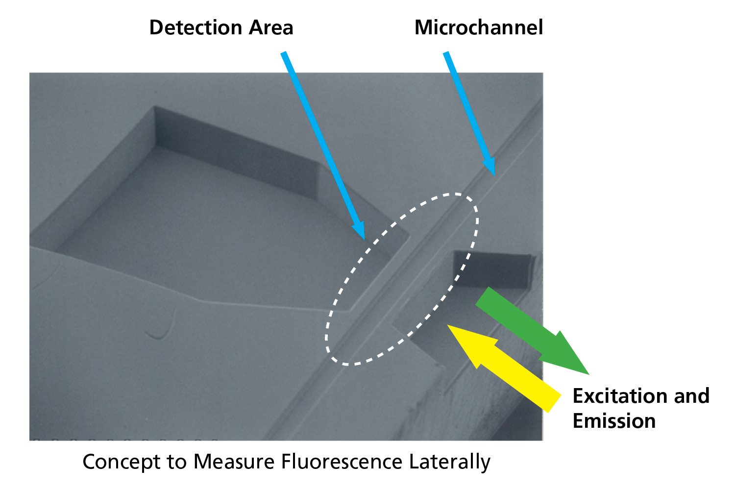 Autofluorescence of Plastics in Microfluidic Devices - Enplas Global